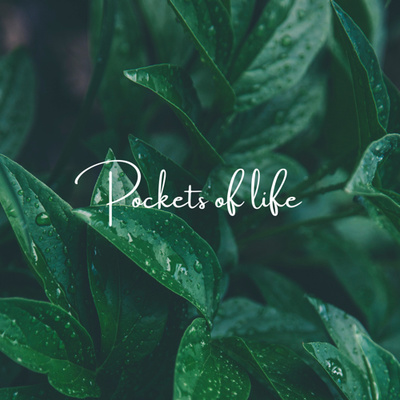 Pockets of Life • A podcast on Spotify for Podcasters