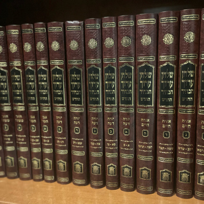 Yoreh Deah 36:6-12. Treifos: Lungs, Holes, Missing, and Other ...