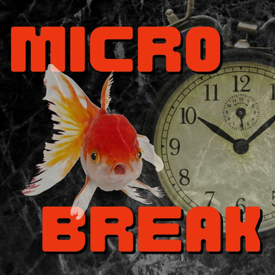 MICRO BREAK • A podcast on Spotify for Podcasters