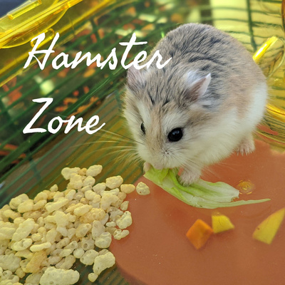 Hamster Zone • A podcast on Spotify for Creators