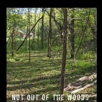 Not Out of the Woods • A podcast on Spotify for Creators