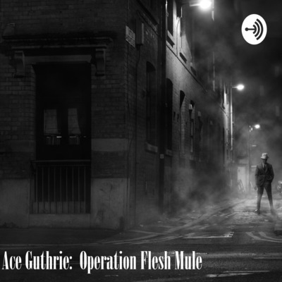 Ace Guthrie: Operation Flesh Mule • A podcast on Spotify for Creators