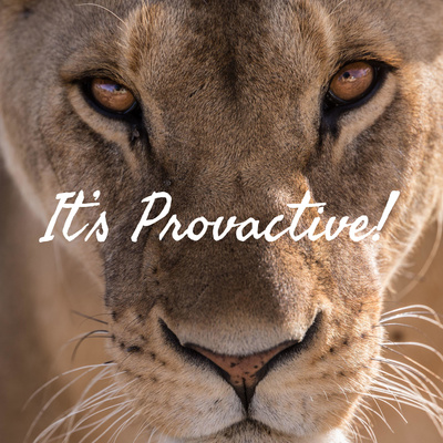 It's Provactive! • A podcast on Spotify for Podcasters