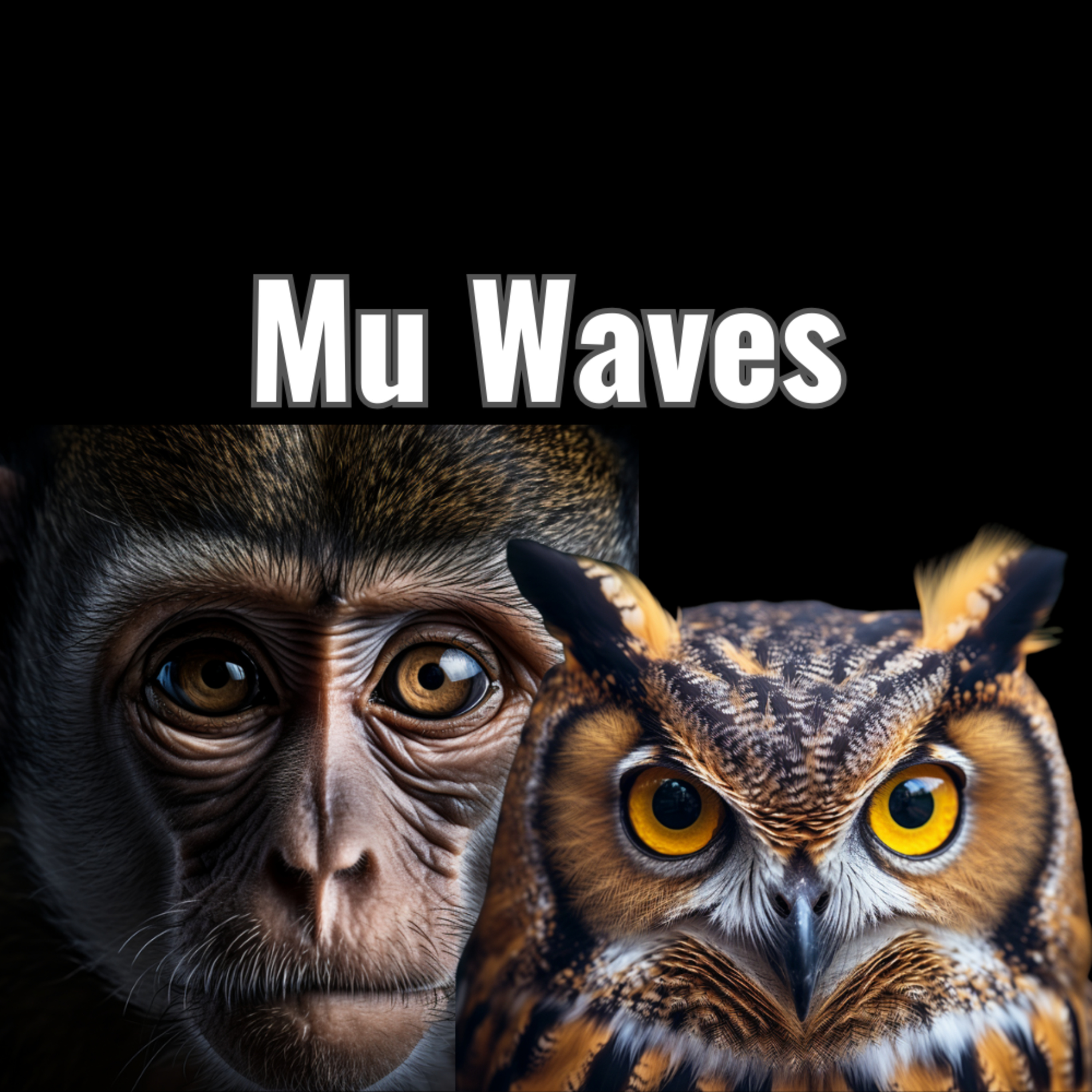 How Mu Waves Can Improve Your Mental Performance – NeuroNoodle Network ...