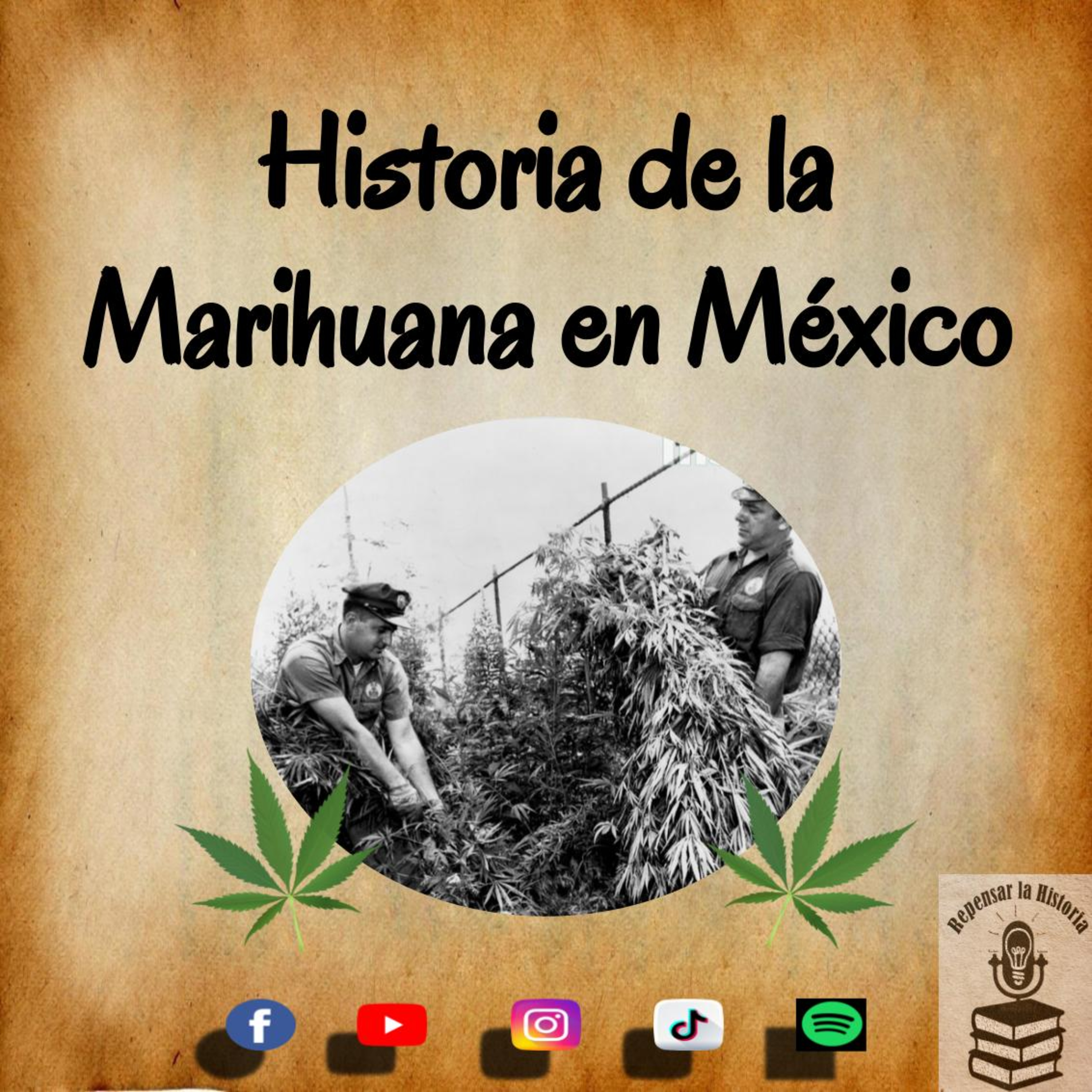 Historia de la Marihuana en México – Repensar la Historia – Podcast ... Historia de la Marihuana en México – Repensar la Historia – Podcast ...