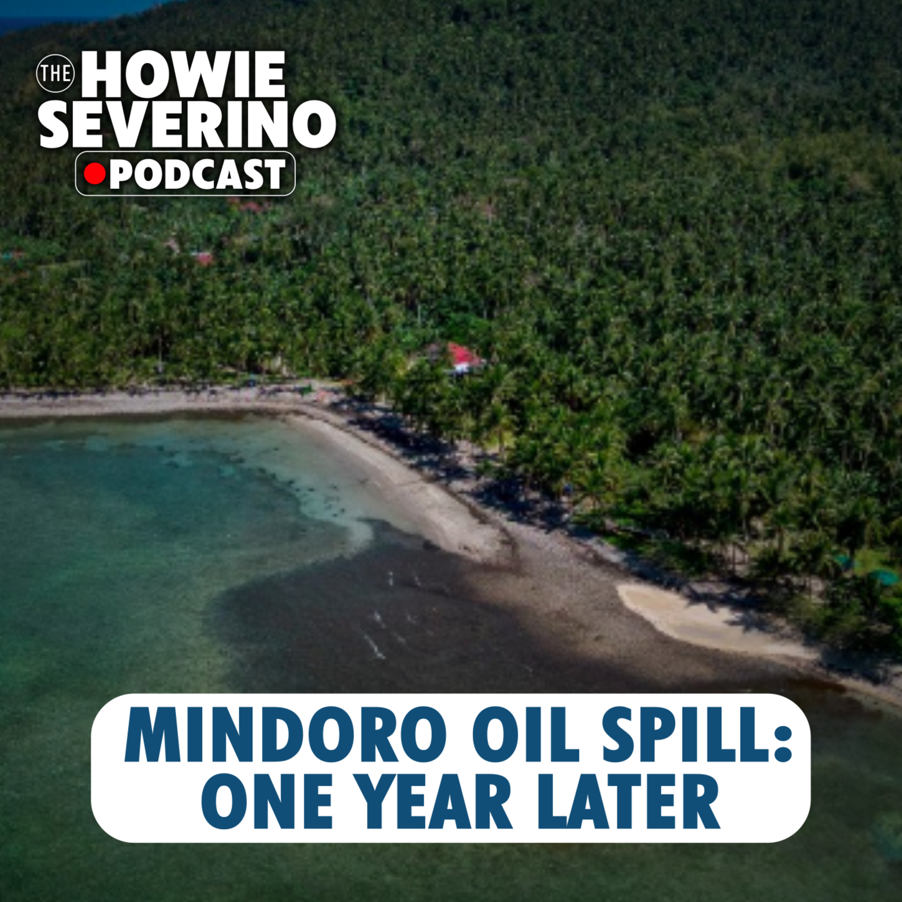 How do oil spills affect marine environments? | ICYMI – The Howie Severino Podcast – Podcast ...