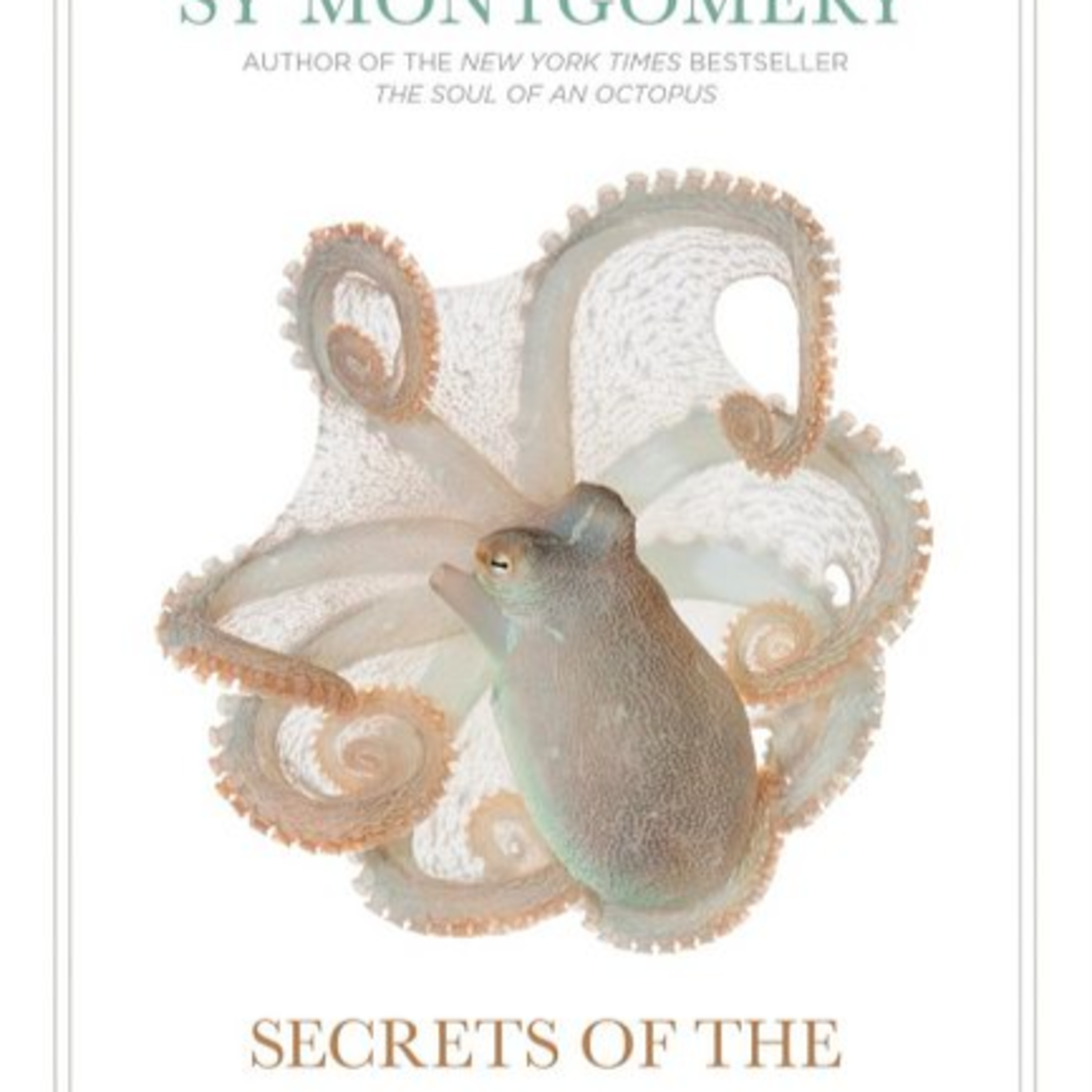 Techstination Interview: A deep dive with Secrets of the Octopus author ...
