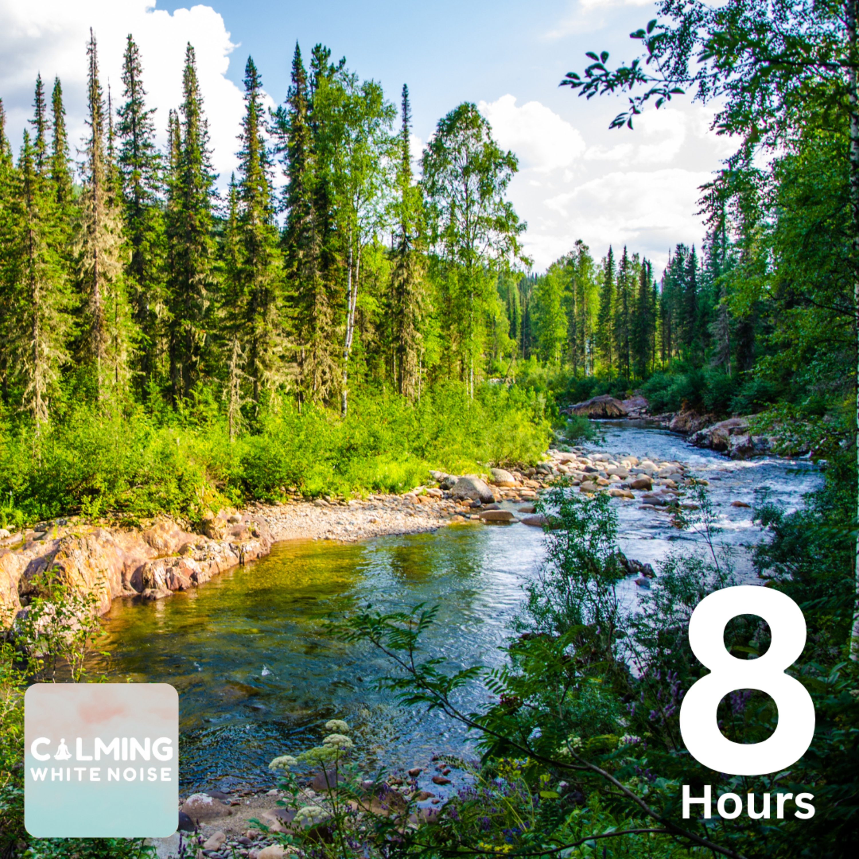 Blizzard Wind and Snowstorm Sounds for Sleep (8 Hours) | Cozy Cabin ...