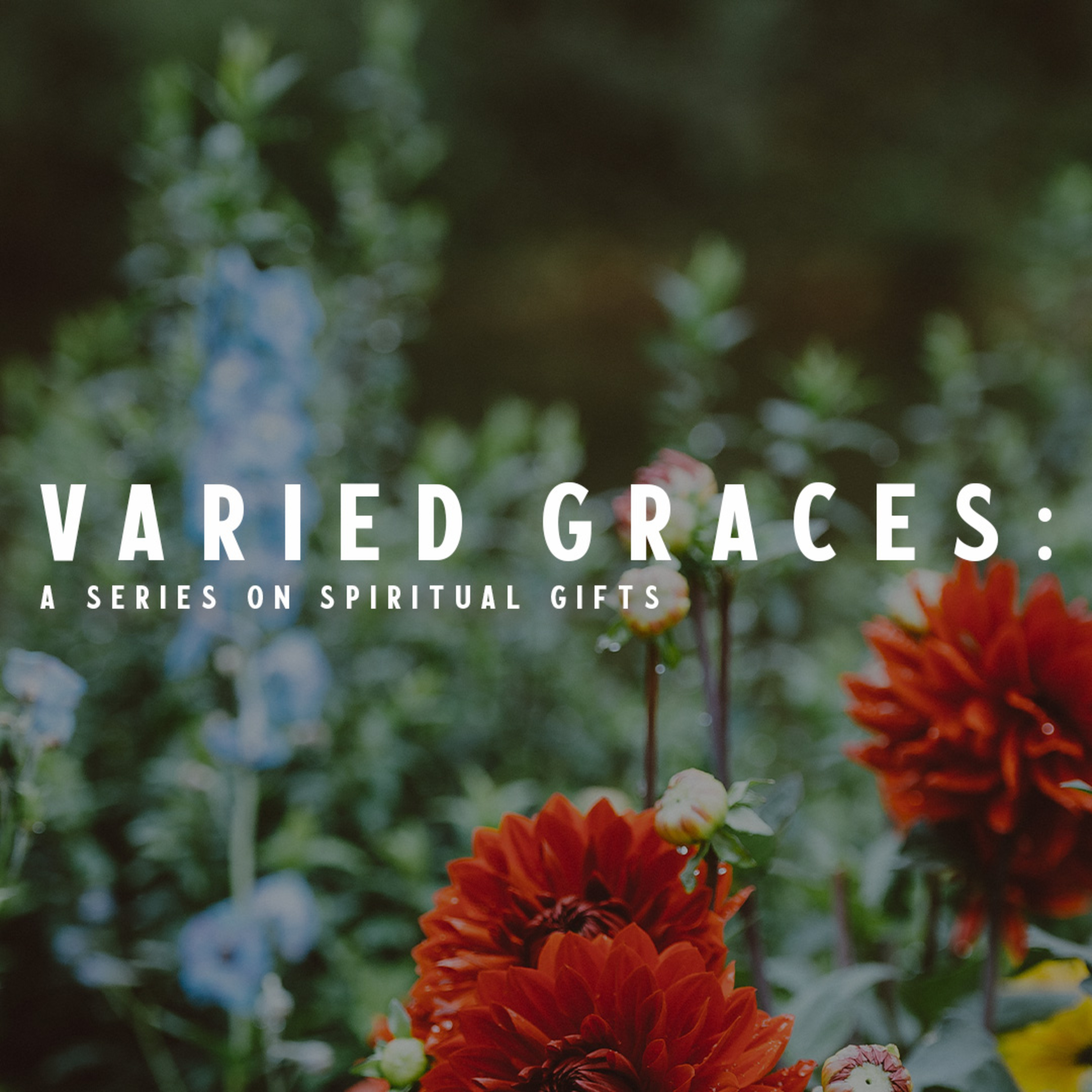 Varied Graces: 1 Corinthians 13, Zach Hollifield – Red Mountain Young ...
