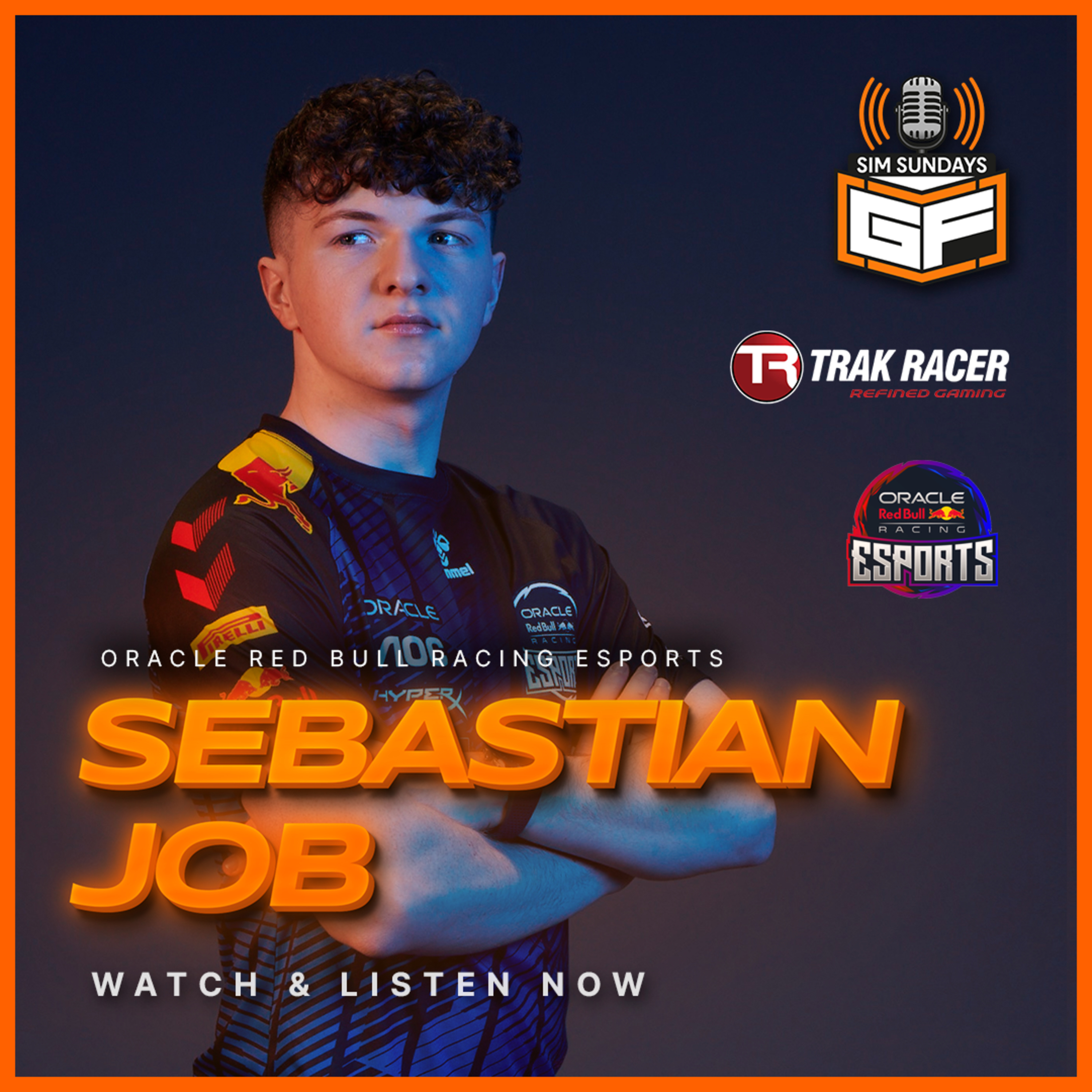 Sebastian Job | "I helped configure the real life F1 simulator for Red ...