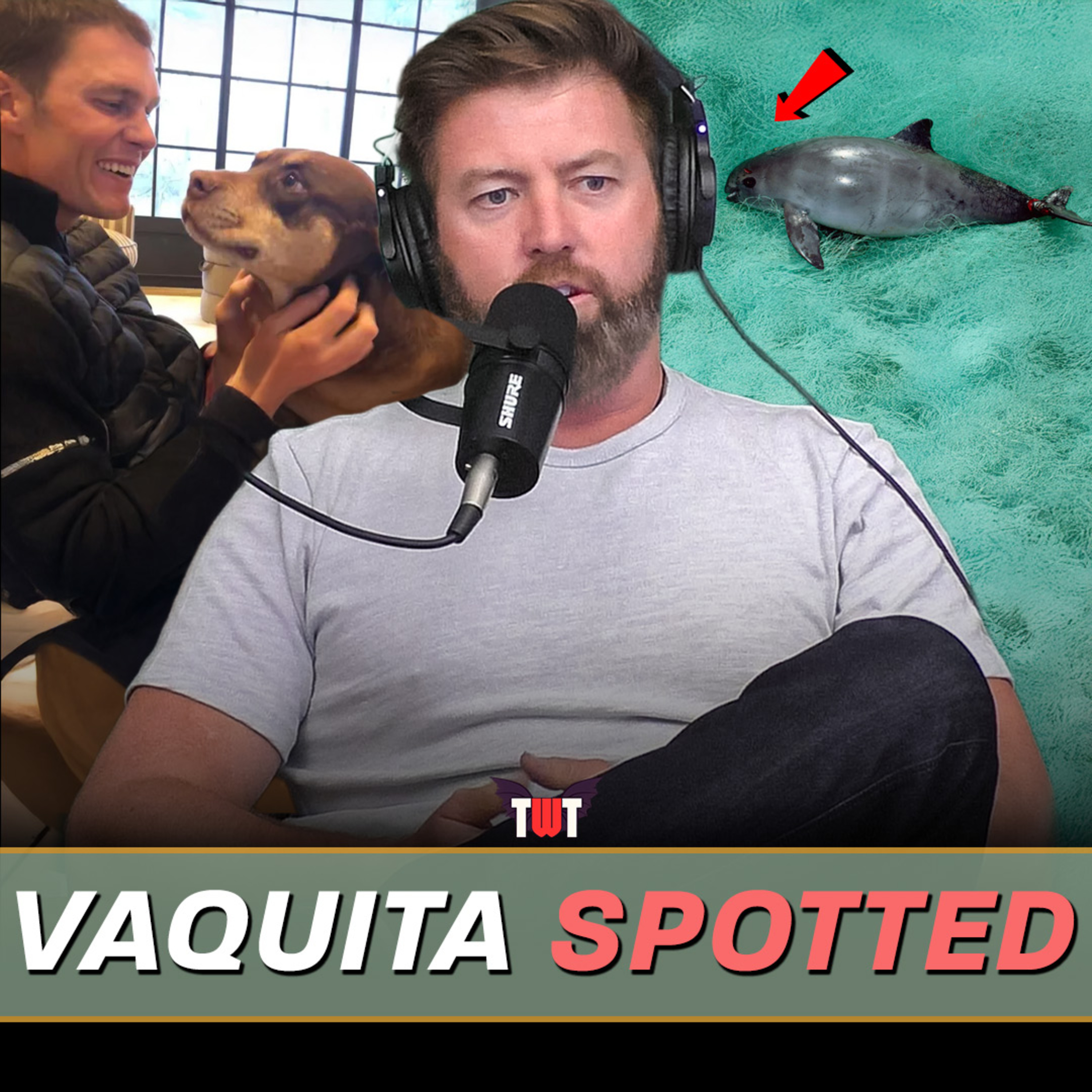 Forrest Galante Warns That Zootopia 2 May Have Started a Very Dangerous ...