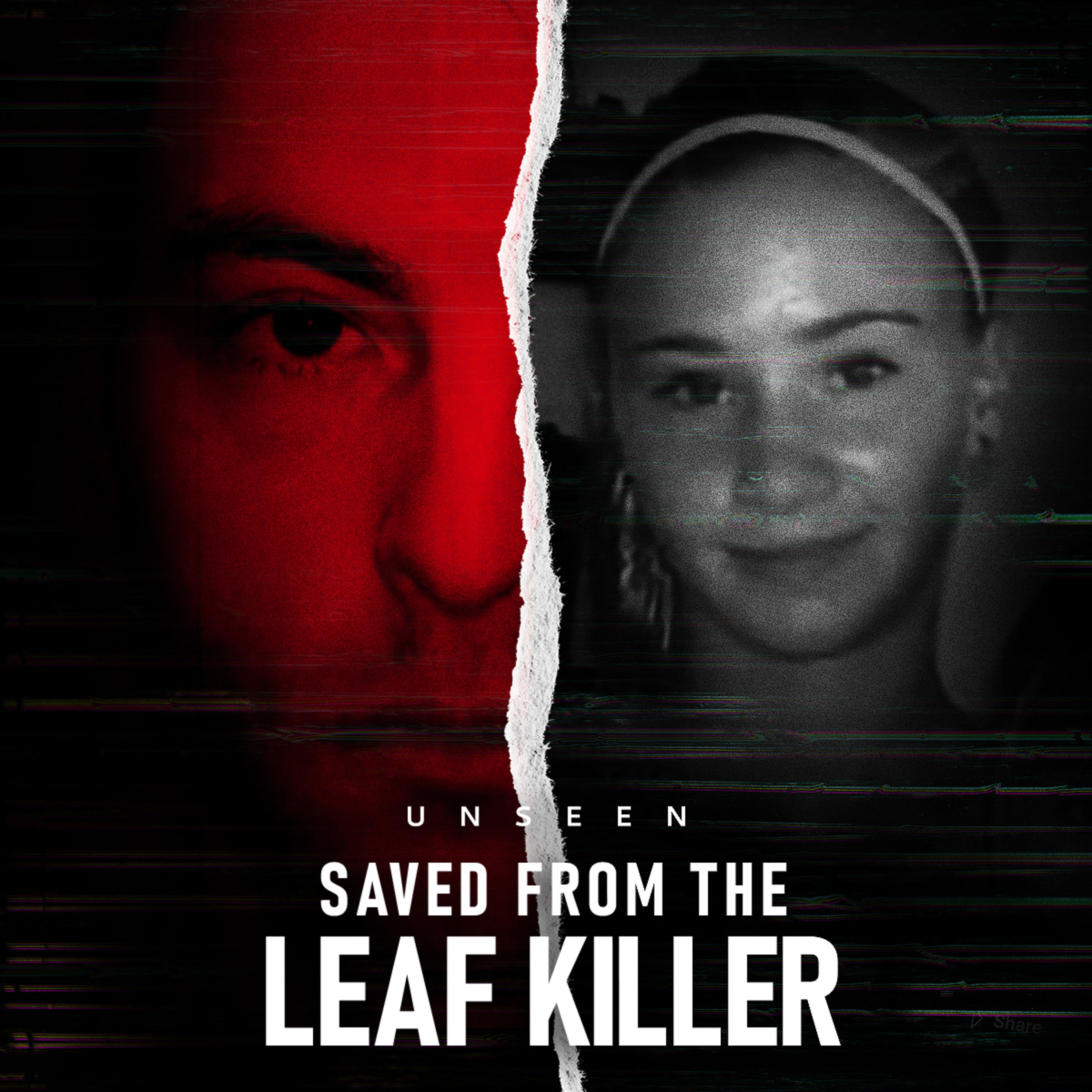 The Disturbing House of Leaves: The Case of Sarah Maynard | UNSEEN ...