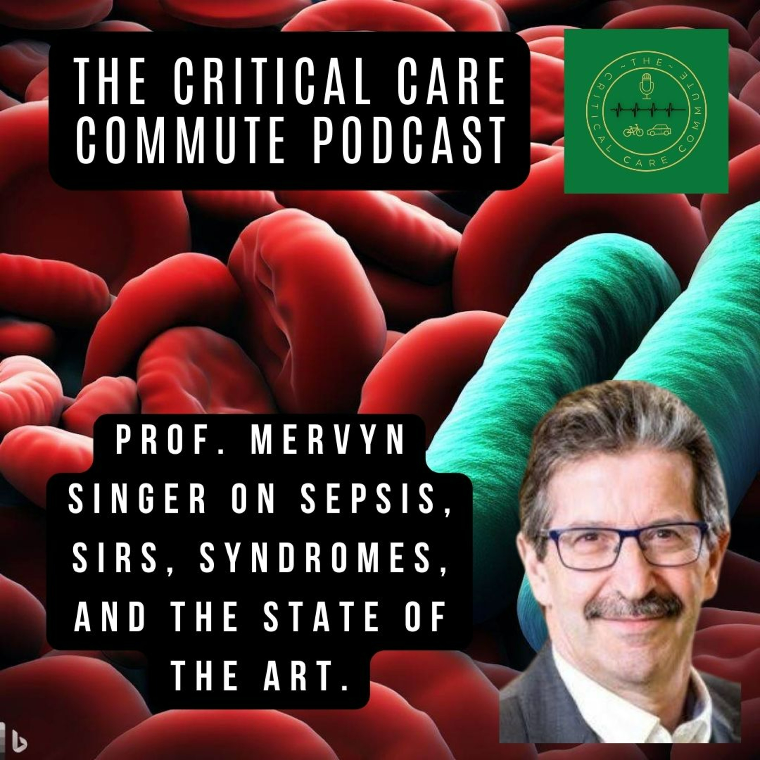 Prof. Mervyn Singer on Sepsis, SIRS, Syndromes, and the State of the ...