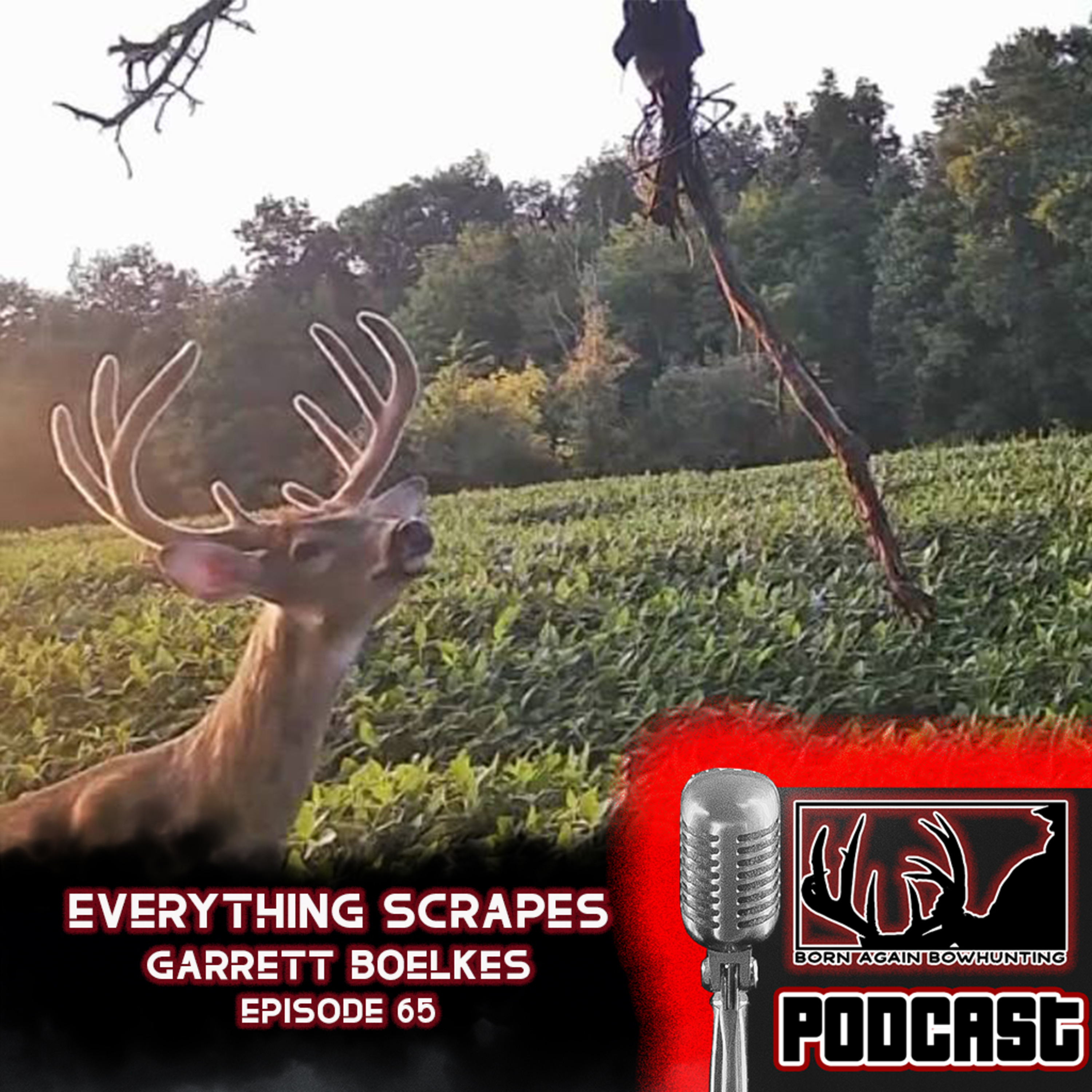 Mock Scrape And Using Them To Kill Your Target Buck | Different Types ...