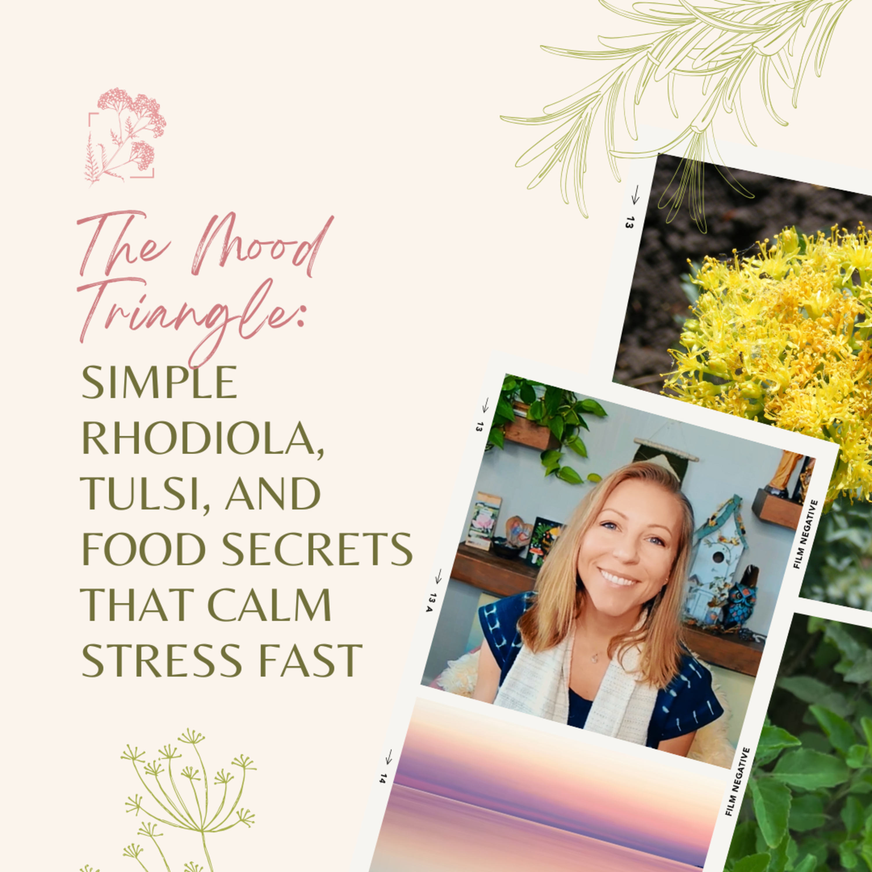 The Mood Triangle: Simple Rhodiola, Tulsi, And Food Secrets That Calm ...