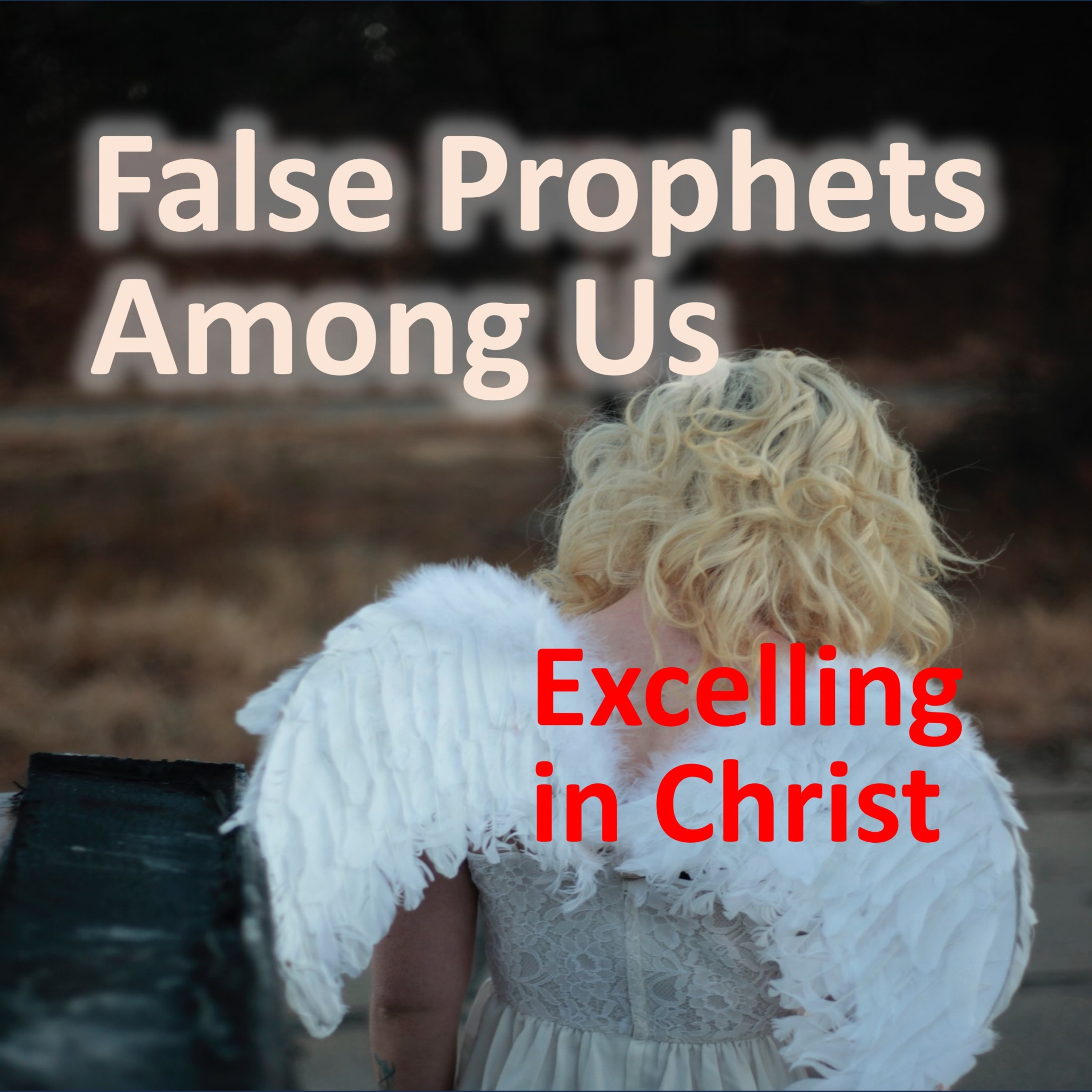 False Prophets Among Us. Who are the false prophets? Where do they lurk ...