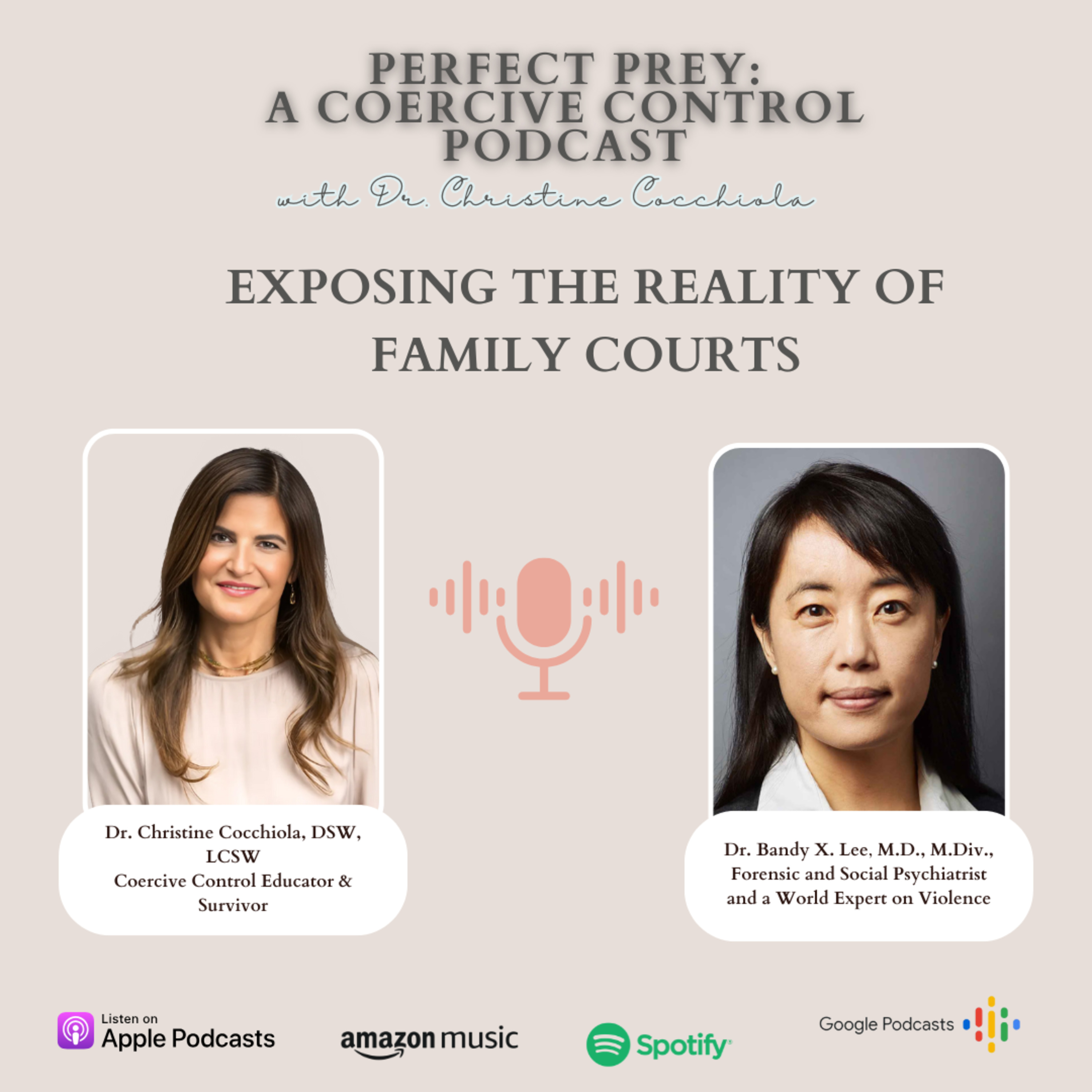 Exposing the Reality of Family Courts with Dr. Bandy X Lee by Perfect ...