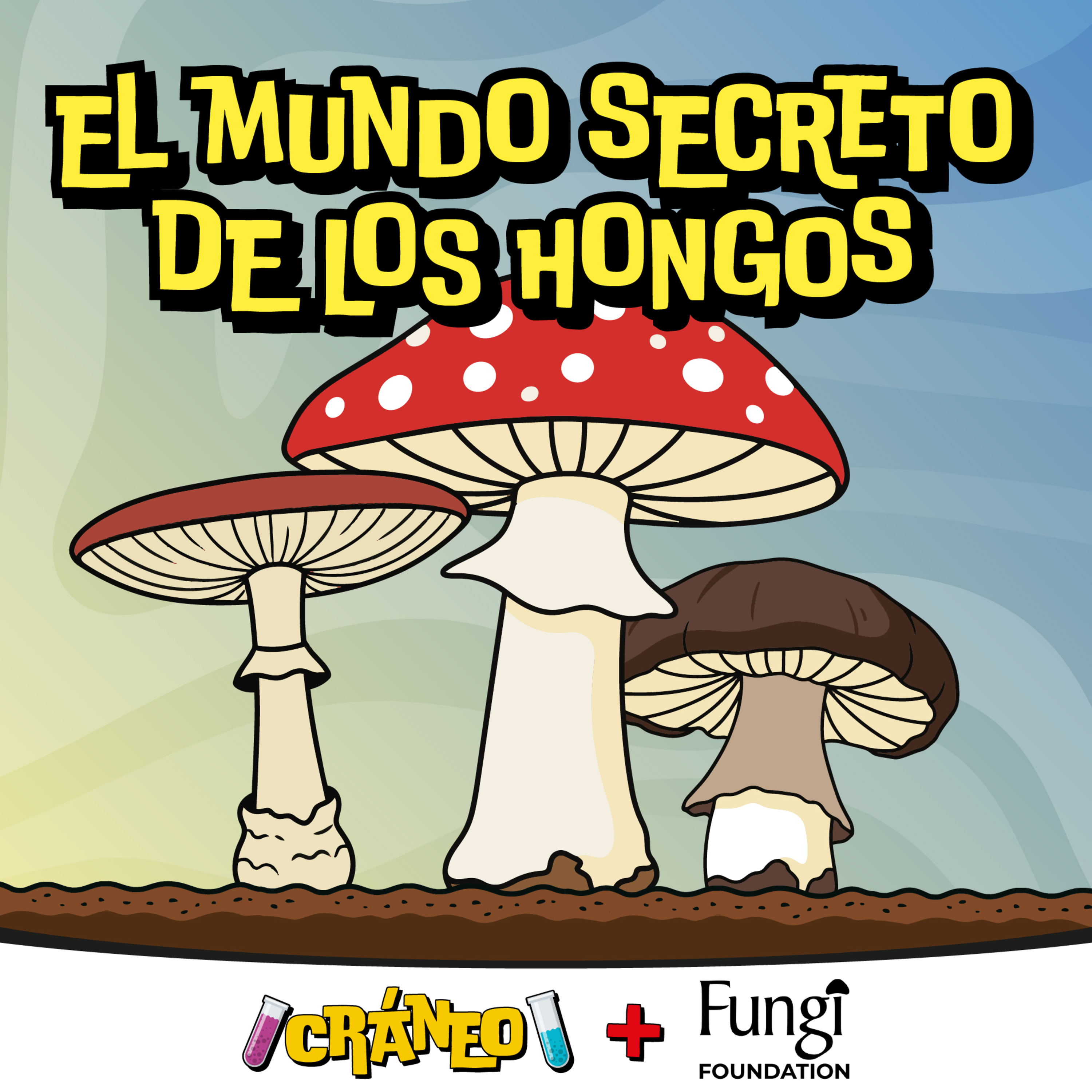 El mundo secreto de los hongos - Cráneo: Ciencia para niños curiosos ...