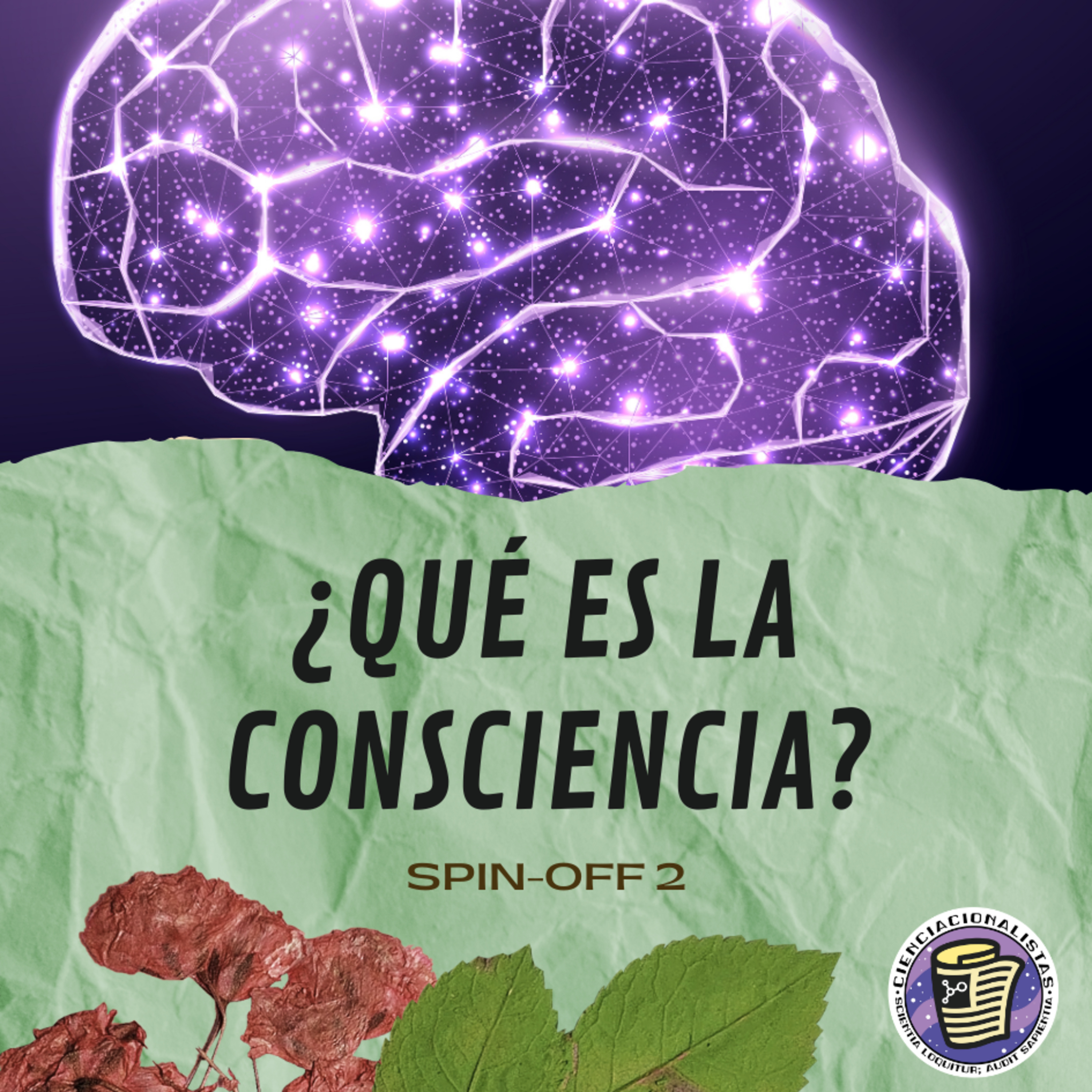 SPIN-OFF 2: ¿QUÉ ES LA CONSCIENCIA? – Cienciacionalistas – Podcast – Podtail