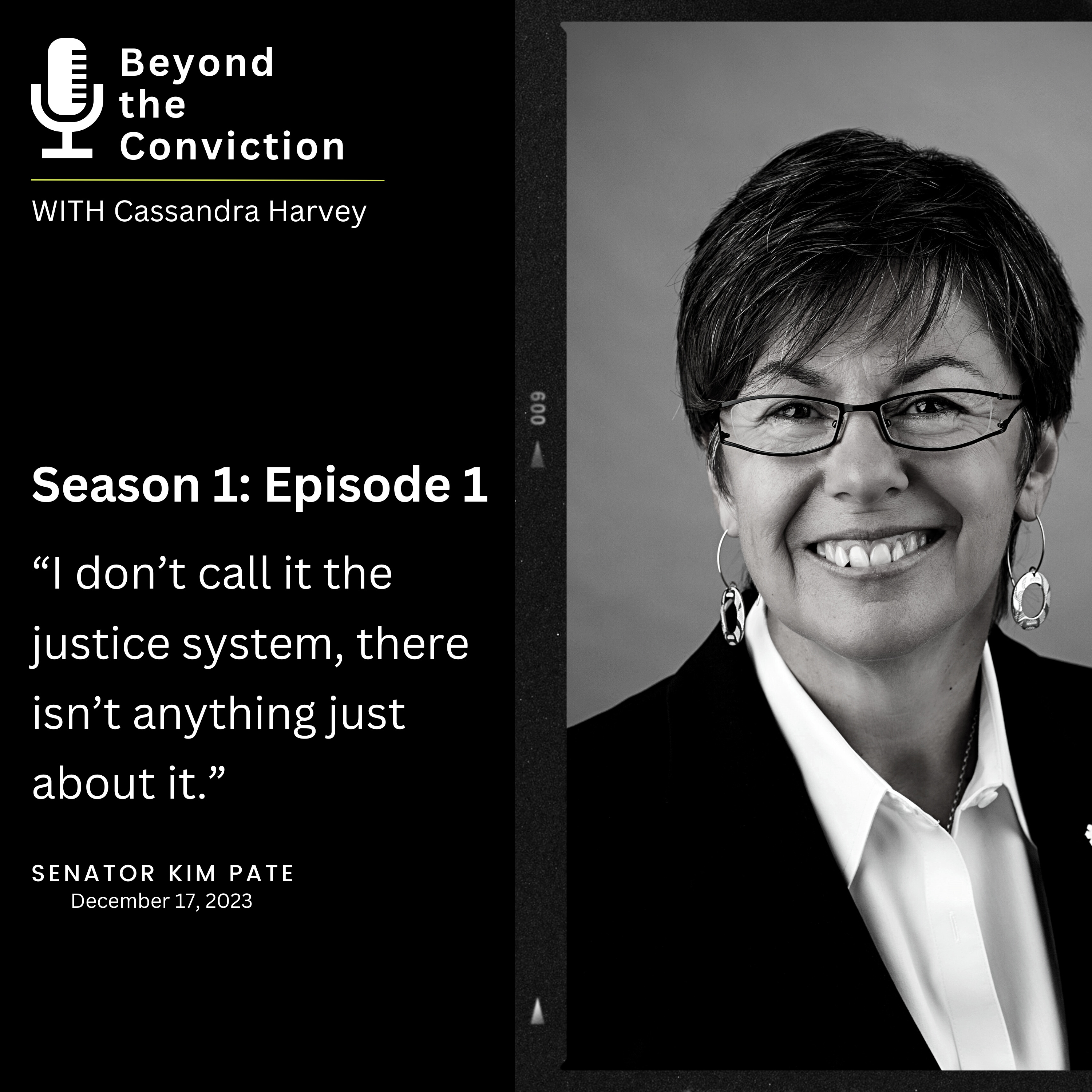 No Justice in the System - Beyond the Conviction | Wave AI Podcast Notes