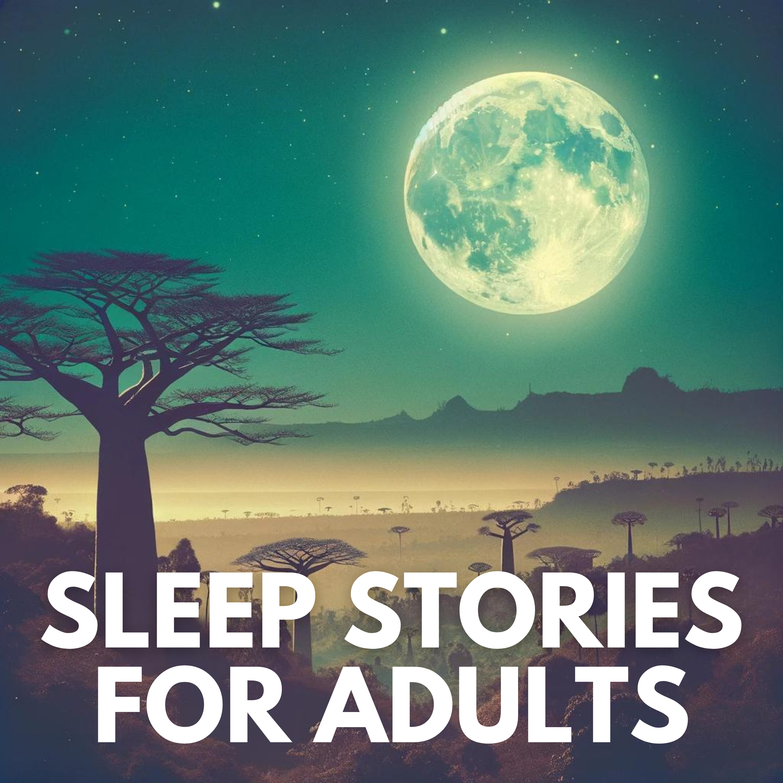 Madagascar's Enchanted Night • Sleep Stories for Adults – Sleep Stories ...