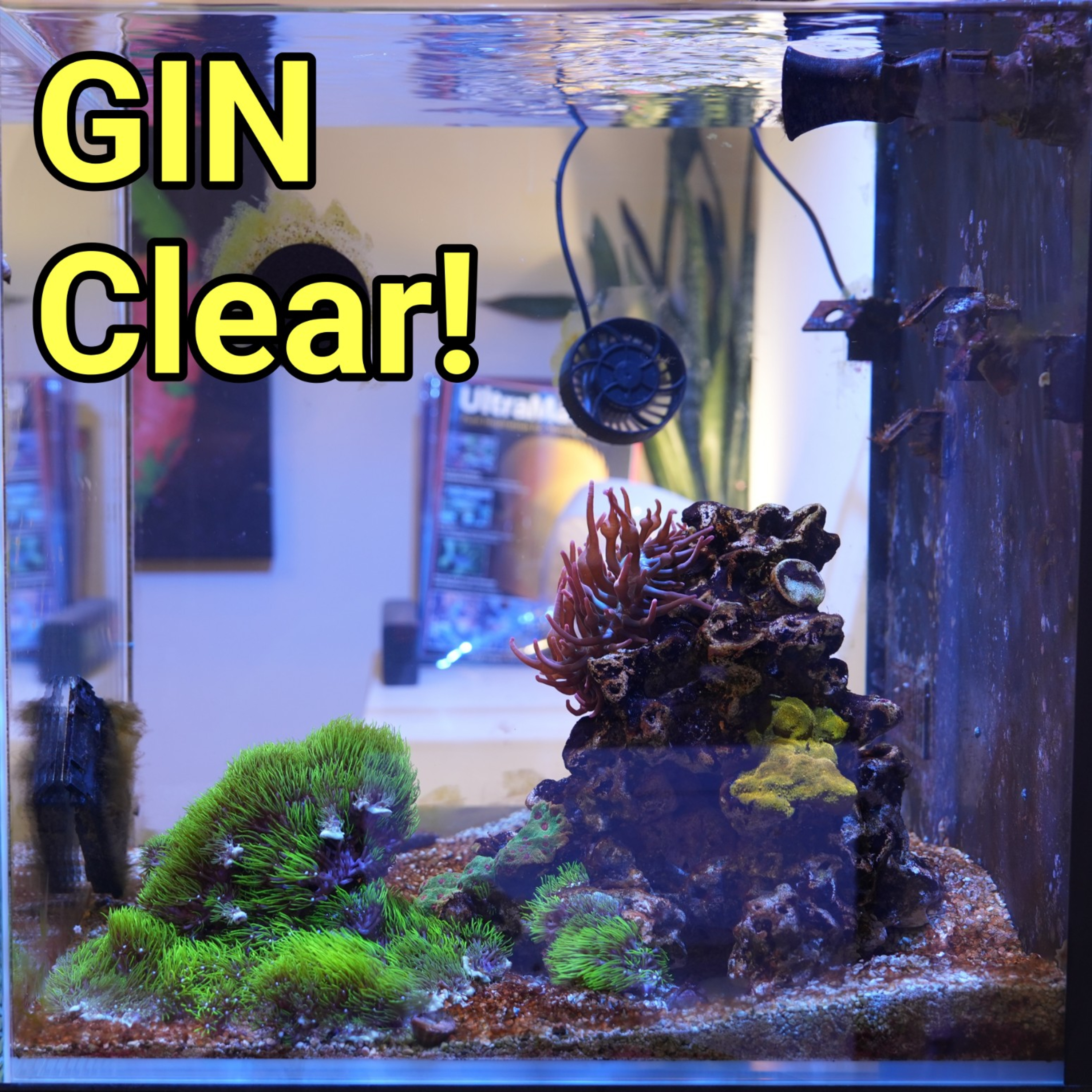 I Accidentally Discovered the Secret to PERFECT Water Clarity | The ...