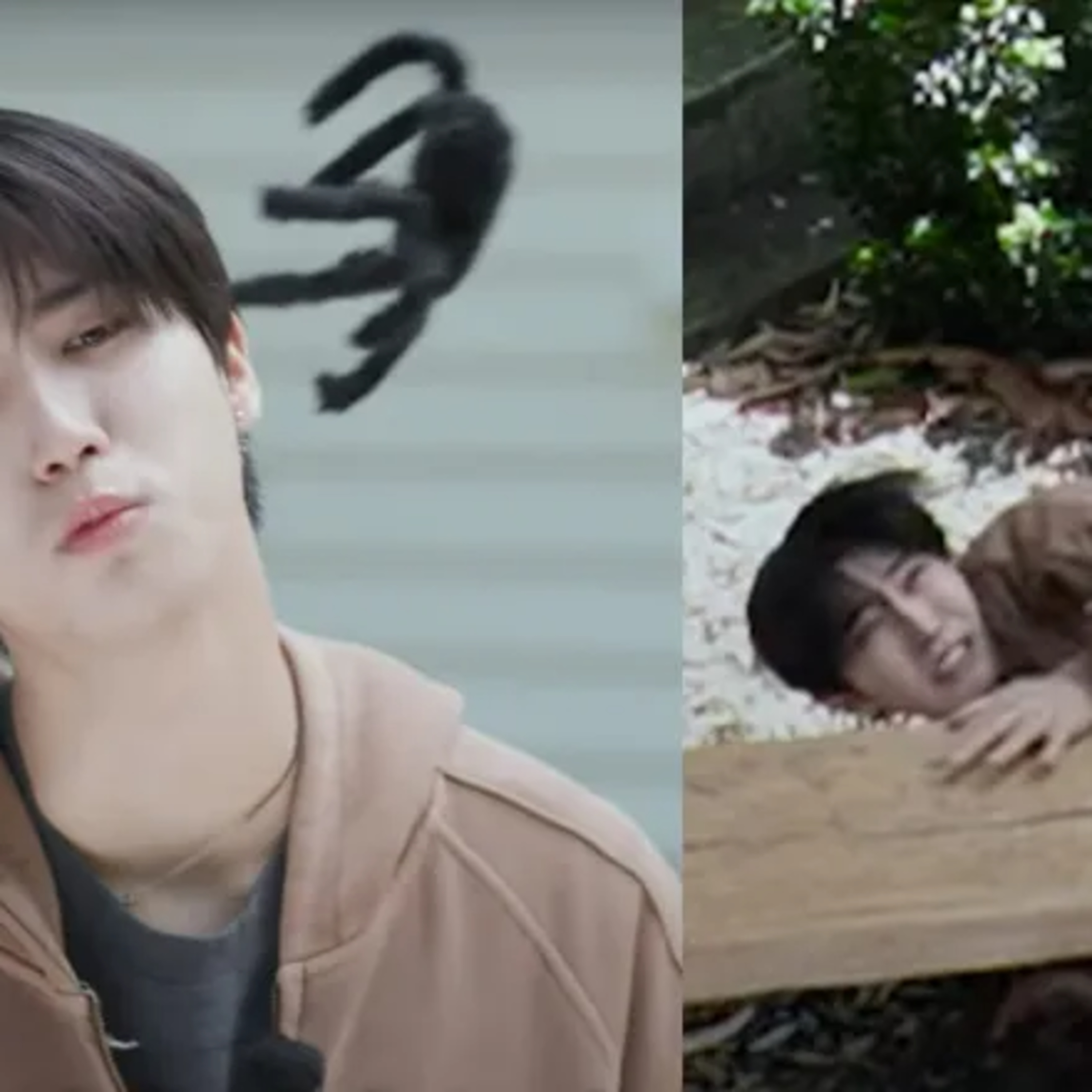 Stray Kids Han’s Reaction To A Spider Is Absolutely Priceless – STRAY ...