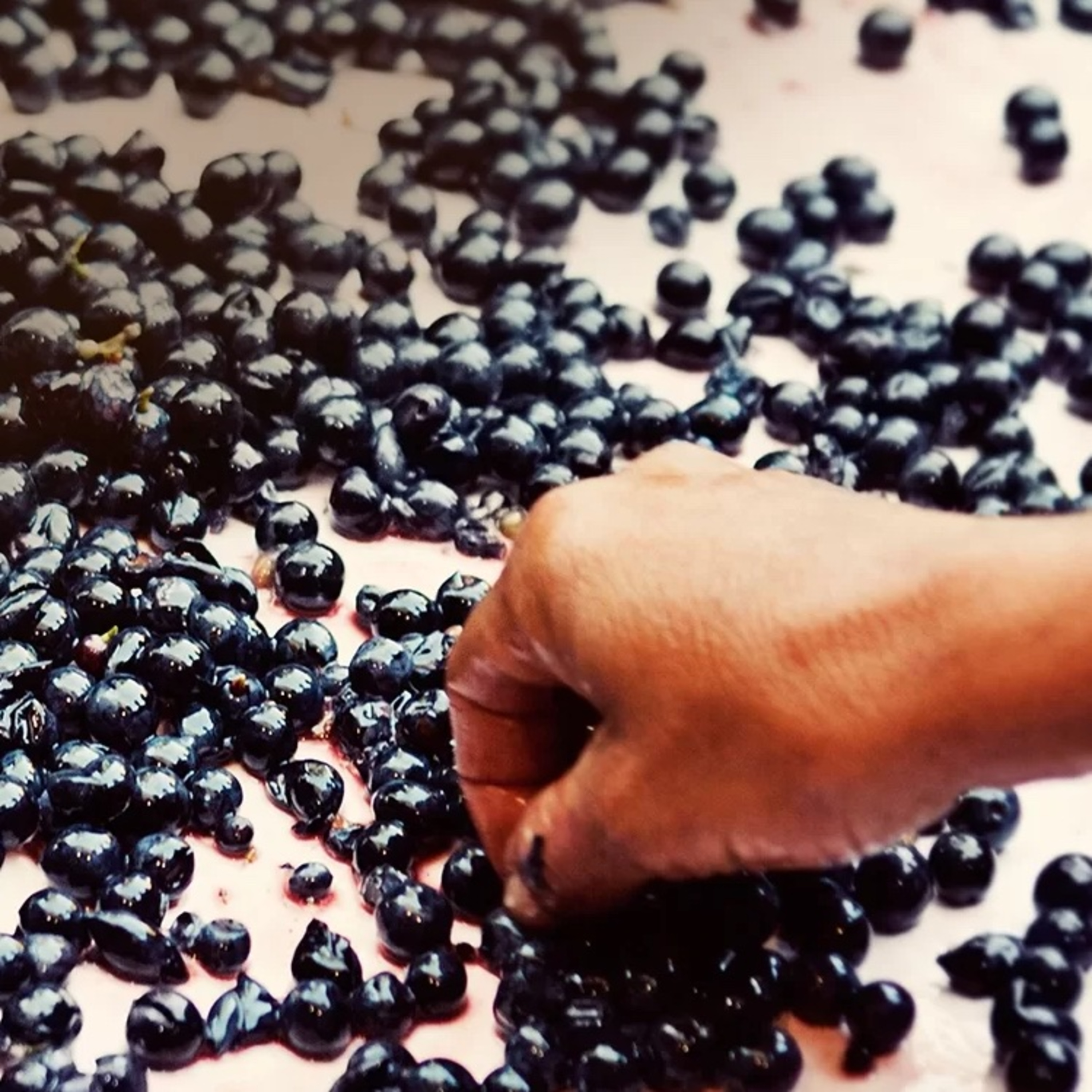 20 questions about the map of Spain - WSET Level 3 – WSET Flashcards ...