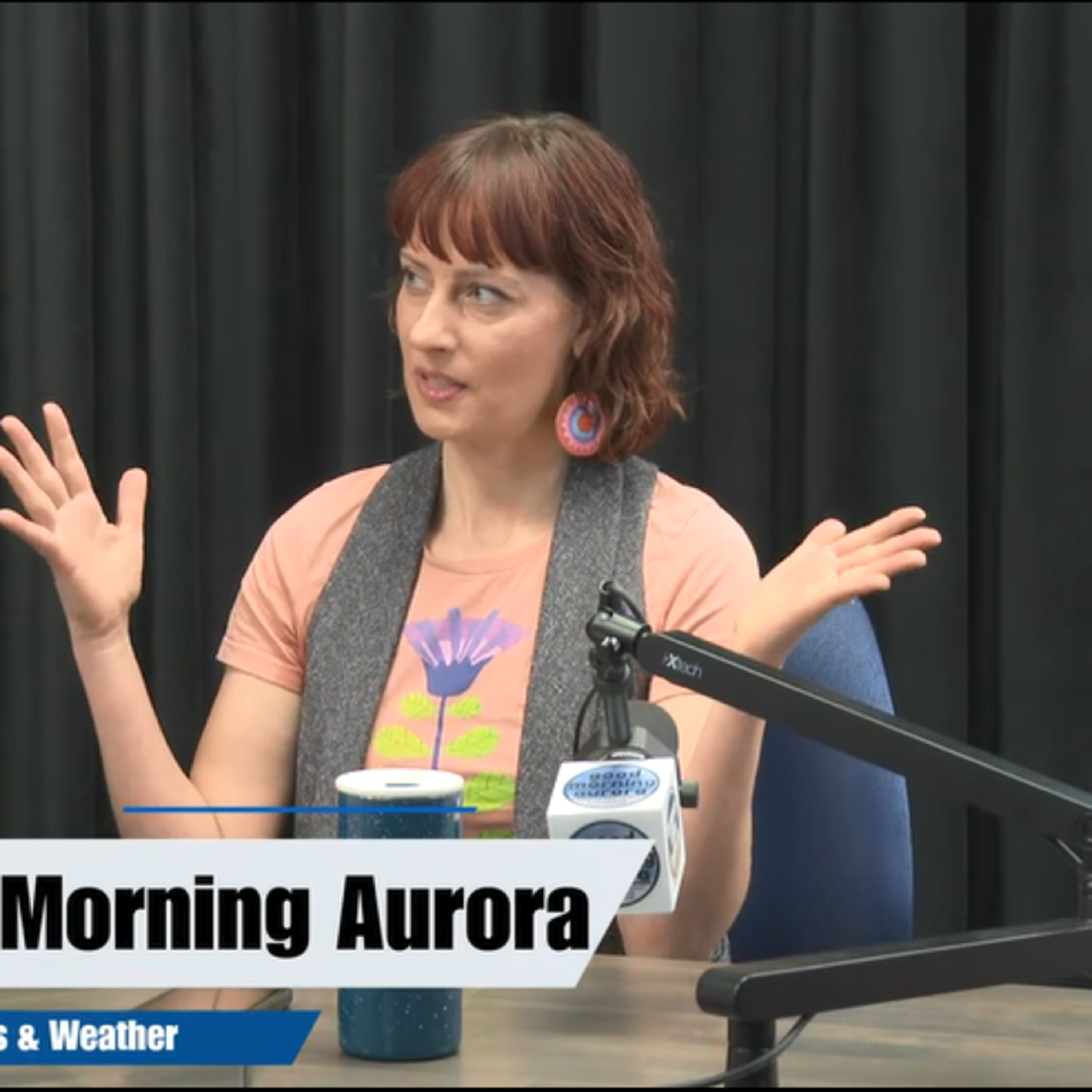 Wednesday | 4/24/2024 | Laura Lynne Art! Live on Good Morning Aurora ...