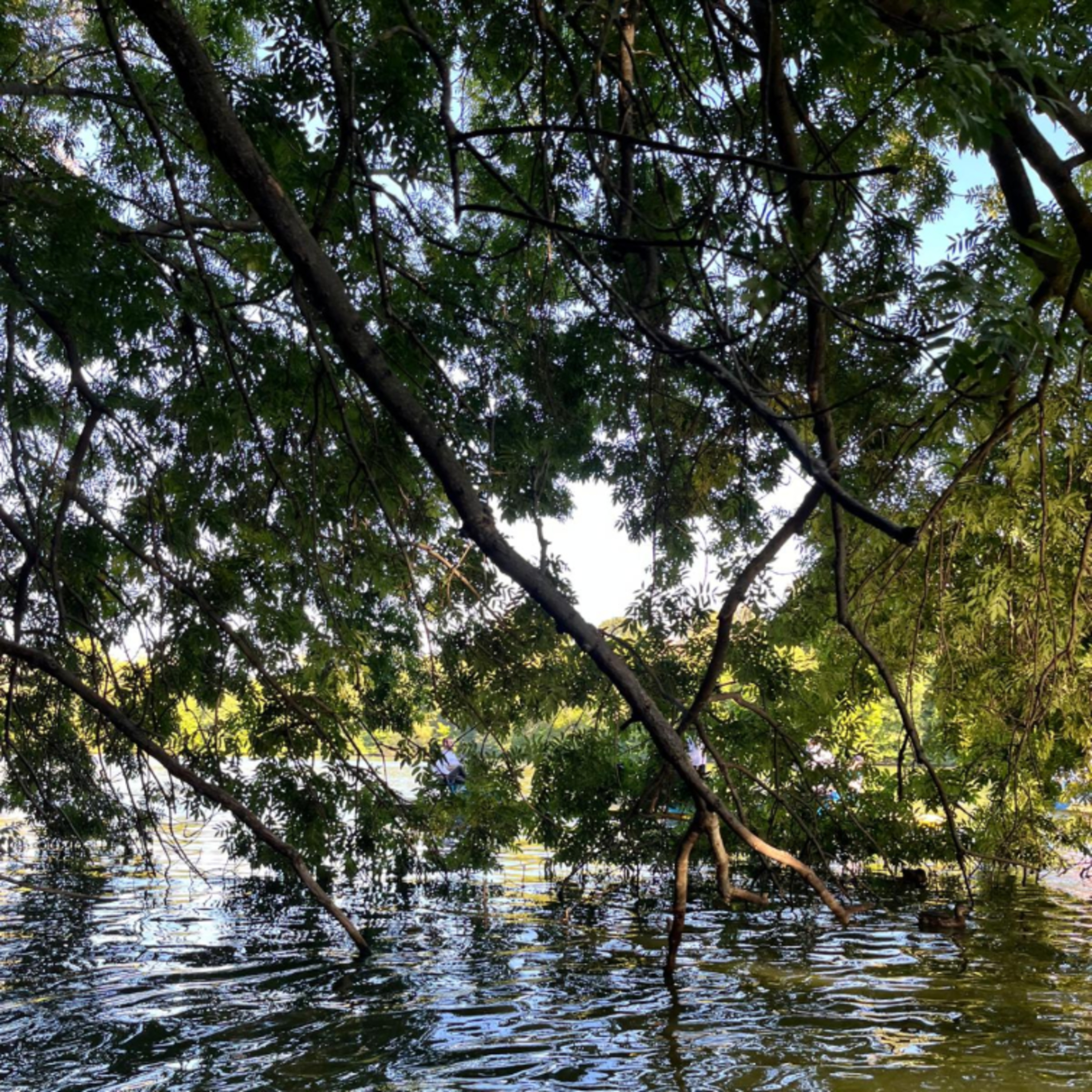 Eli Goldsmith Inspired Flow! Podcast - The Rosh Aka Head of the Year of ...