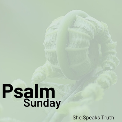 Psalm Sunday: Psalm 39 by She Speaks Truth