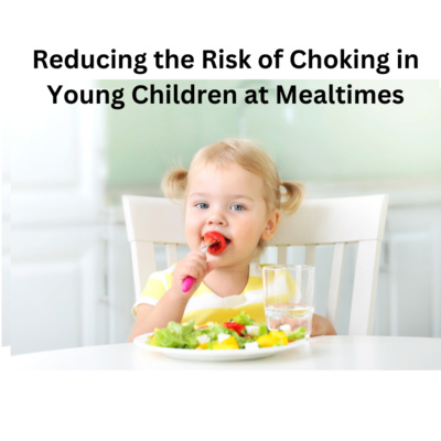 Reducing the Risk of Choking in Young Children at Mealtimes by Dr ...
