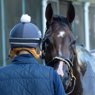 Episode 36: A Horse Racing Ethics Lesson from RTIP's Phil O'Hara by The ...