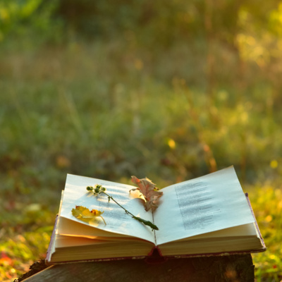 Episode 15: Roving Library Nerd Reporter Madeline Bitter Talks Nature ...