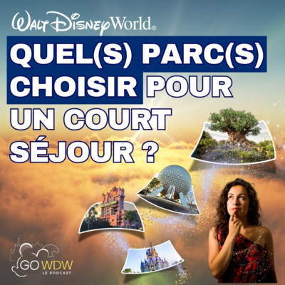 Quel(s) parc(s) choisir lors d'un court séjour à Walt Disney World ? by ...