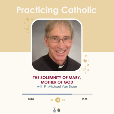 The Solemnity of Mary, Mother of God (with Fr. Michael Van Sloun) by ...
