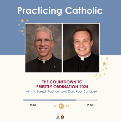 The countdown to Priestly Ordination 2024 (with Father Joseph Taphorn ...