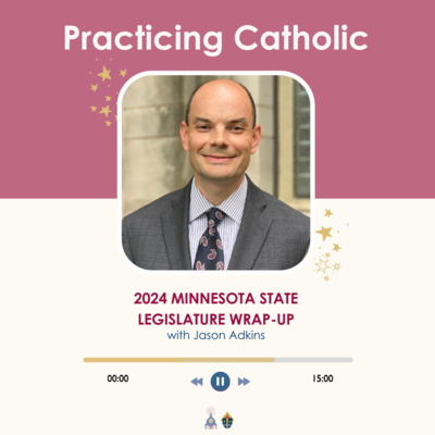 2024 Minnesota State Legislature wrap-up (with Jason Adkins) by ...