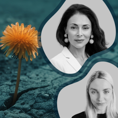 Spotlight Nine: Real Life AI Deployment by Redefining AI - Artificial ...