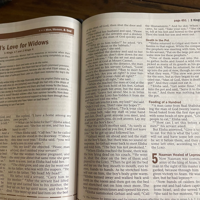 The Bible reading of the day Genesis 13:1-18 by Journey through the ...