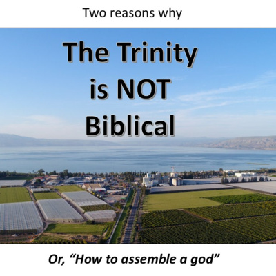 138) Trinitarianism is NOT Biblical by One God Report