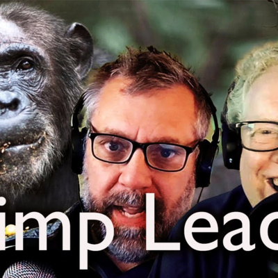 Leadership Lessons from Chimp Empire on Netflix by Sense & Signal ...