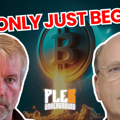 2024 A Bitcoin Year In Review! by Pleb UnderGround