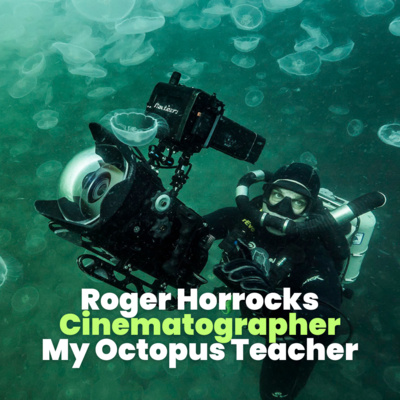 My Octopus Teacher, Blue Planet 2, Our Oceans... The Life of An ...