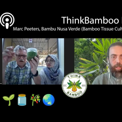 11th ThinkBamboo Tissue Culture at Bambu Nusa Verde in Indonesia by ...