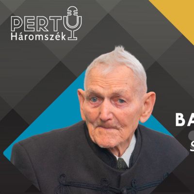 Demeter László / PERTU 27. rész by Pertu