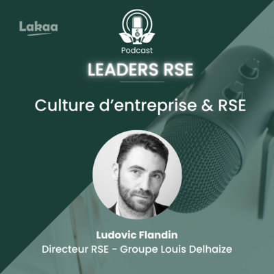Leaders RSE par Lakaa • A podcast on Spotify for Podcasters