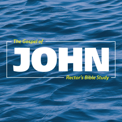 #169 | The Gospel of John | John 2 by Rector's Bible Study - Saint ...