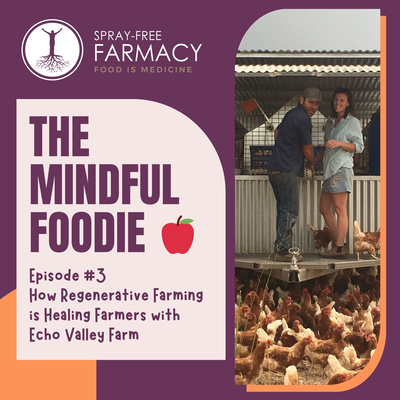 How Regenerative Farming is Healing Farmers with Echo Valley Farm by ...