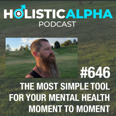 The Most Simple Mental Health Tool - Moment to Moment by Holistic Alpha: Sexual Wellbeing for Men